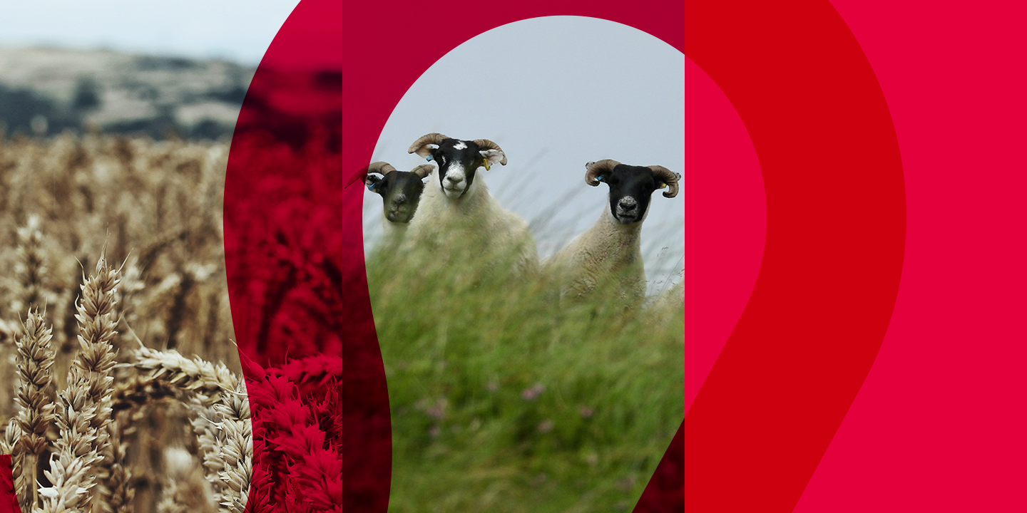 The importance of having a farming partnership agreement | Anderson ...