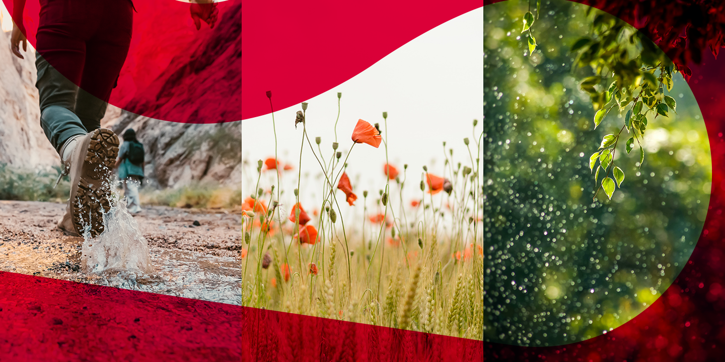 Giving Nature a voice: How on earth does that work? | Anderson Strathern